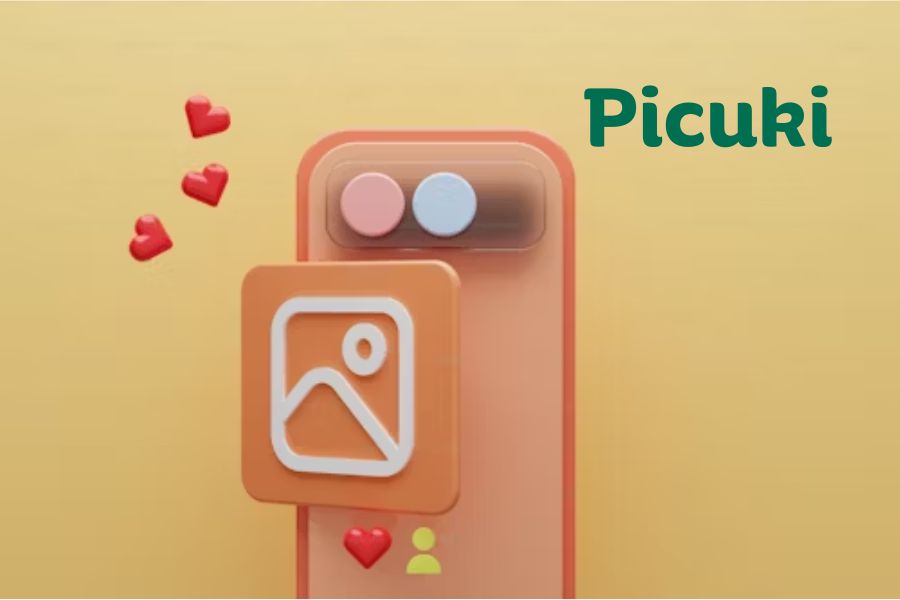Was ist Picuki? Ein umfassender Leitfaden zu seinen Alternativen - Biz ...